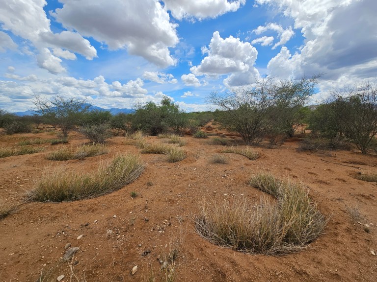 Pastoralists and Water 5 – A brief introduction to green water – Rural ...